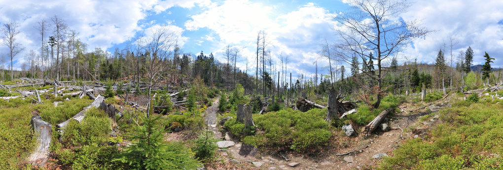 Unterwegs zum Rachelsee 360 Panorama | 360Cities